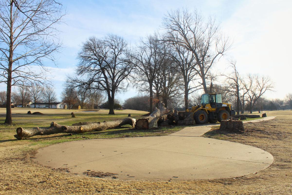 Tree removal underway at Adams golf course | City of Bartlesville