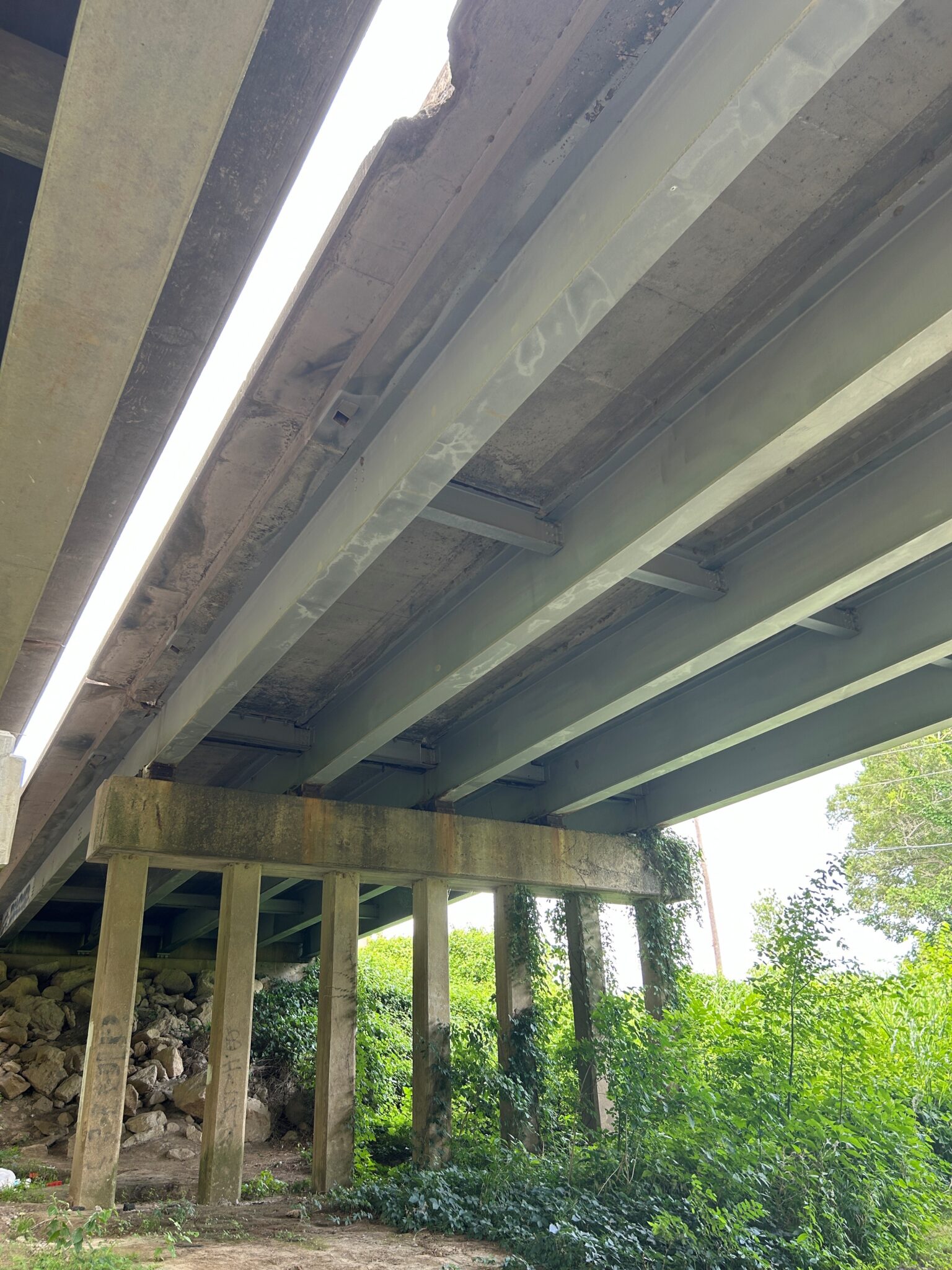 Bridge studies for bats, mussels set for August | City of Bartlesville